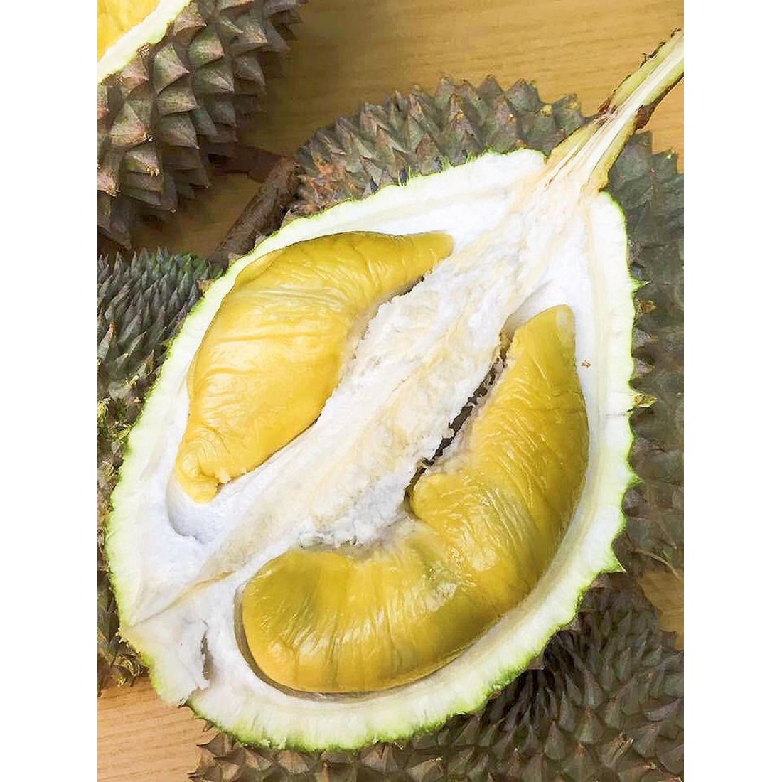 Durian – Fruits36
