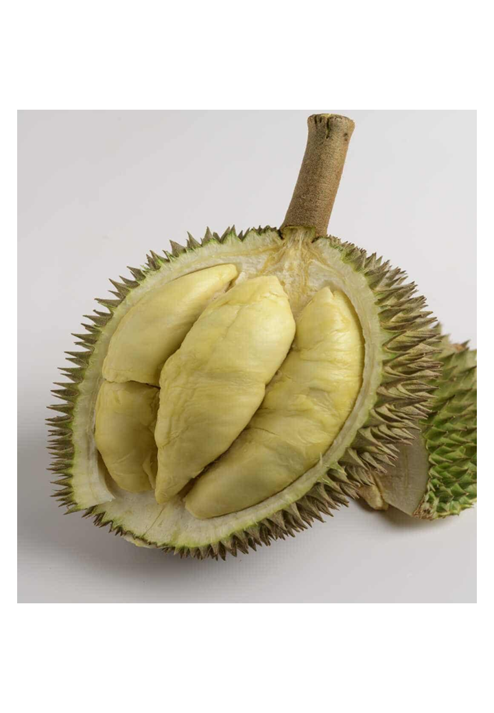 Durian – Fruits36