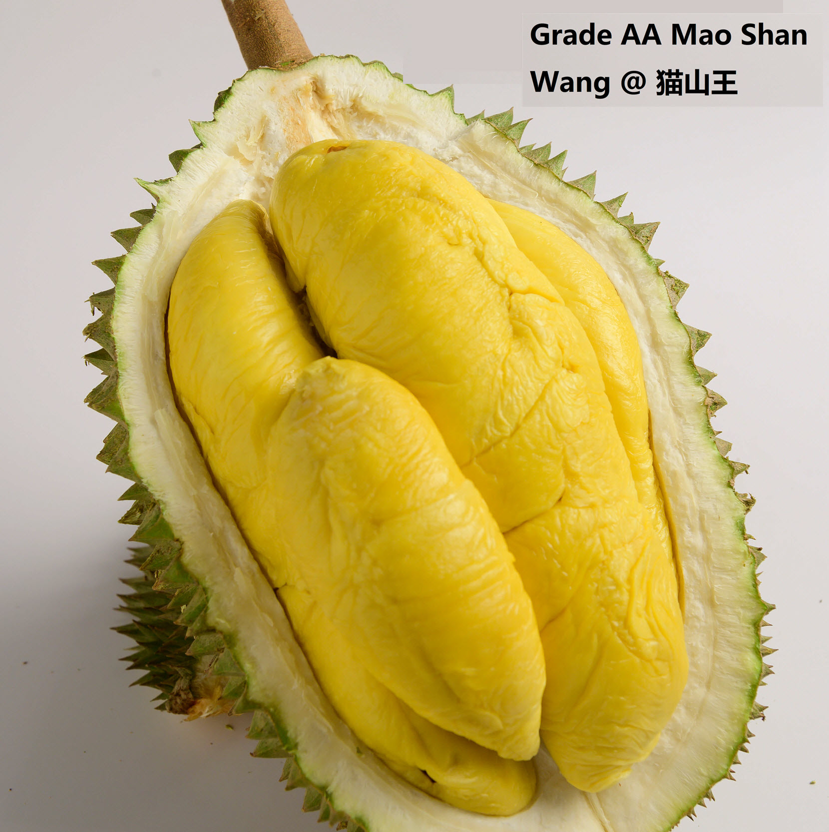 Mao Shan Wang/Musang KING(MSW) ($20/kg) – Fruits36