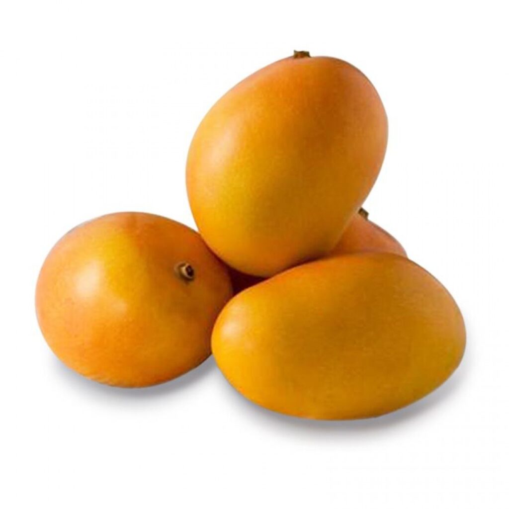 PREMIUM LOQUAT (精选枇杷) (350g/box) – Fruits36