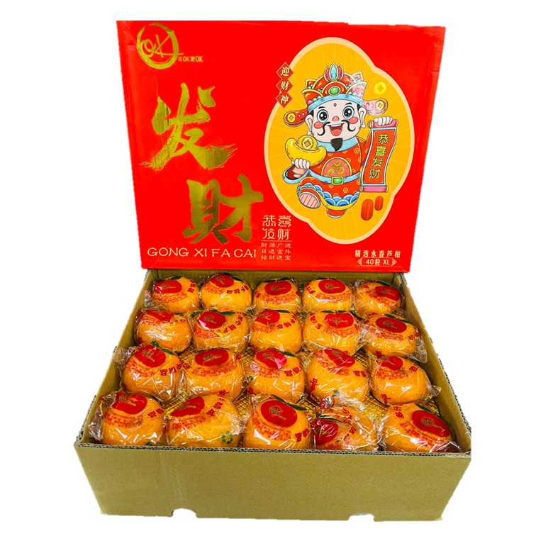 PREMIUM YONG CHUN LUKAN 精选咏春芦柑 (40pcs/ctn) – Fruits36
