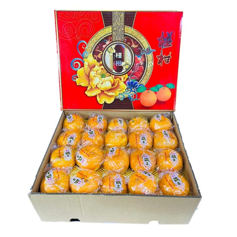 Premium Ponkan 精选碰柑 (40pcs/ctn) – Fruits36