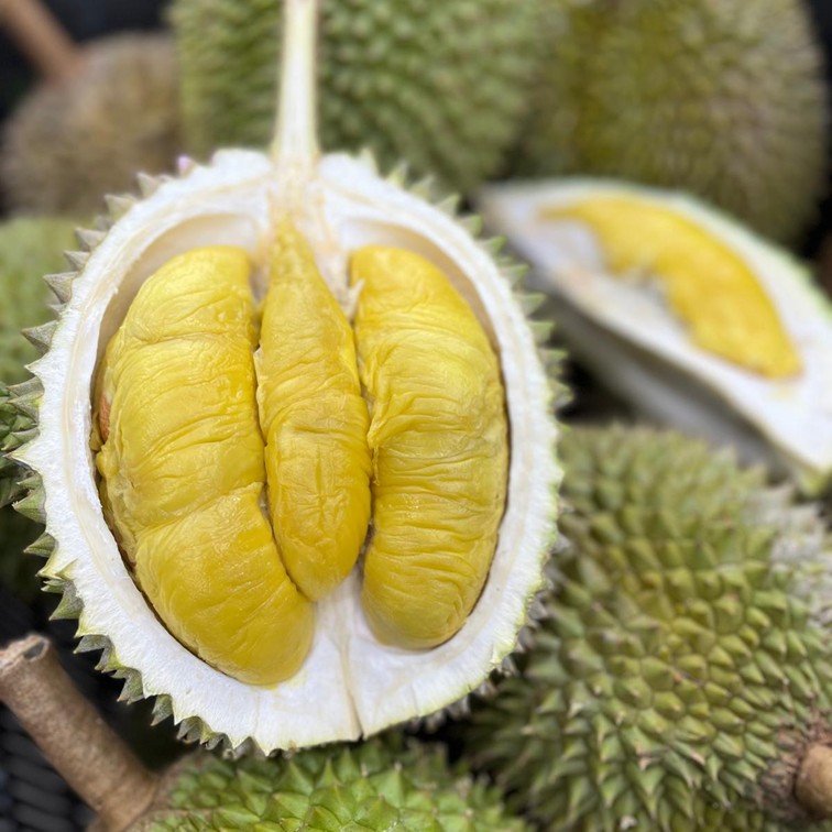 RAJA KUNYIT, GUA MUSANG ($28/KG) – Fruits36